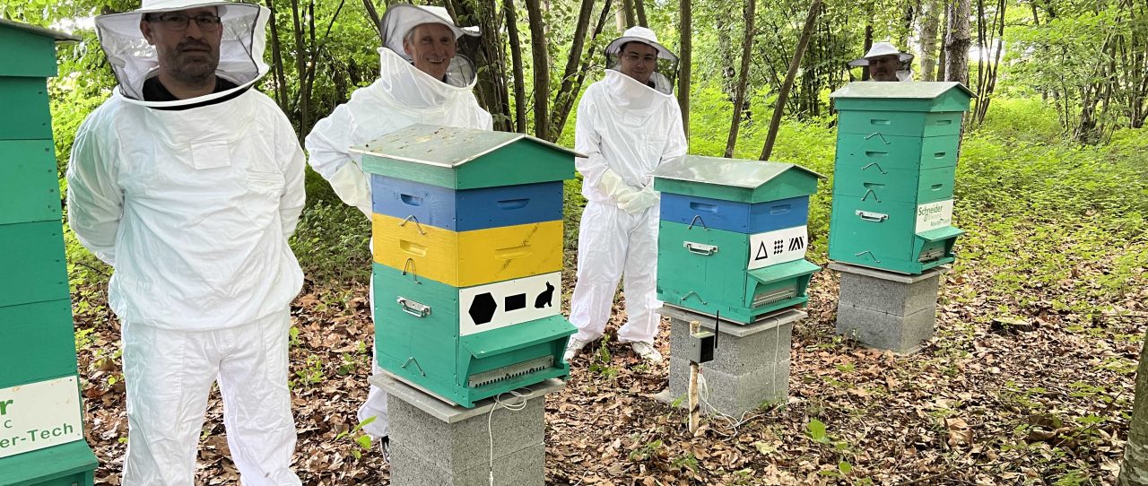 Le rucher de Schneider Electric Master-Tech - Bee Abeille, des ruches pour votre entreprise à ...