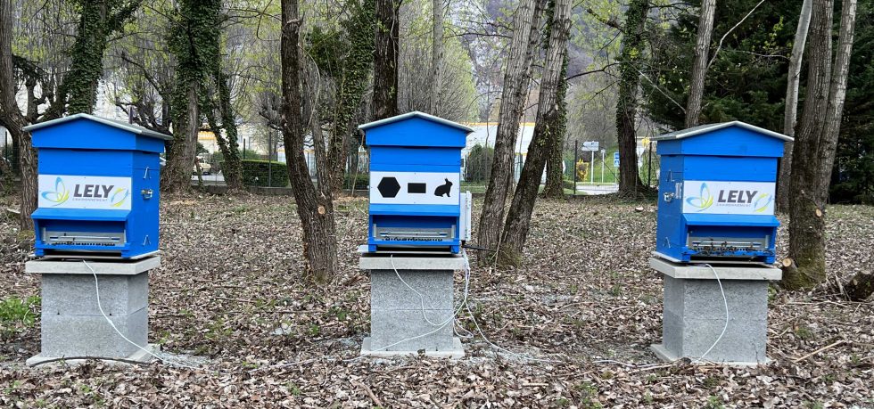 Le rucher de Lely Environnement - Bee Abeille, des ruches pour votre ...